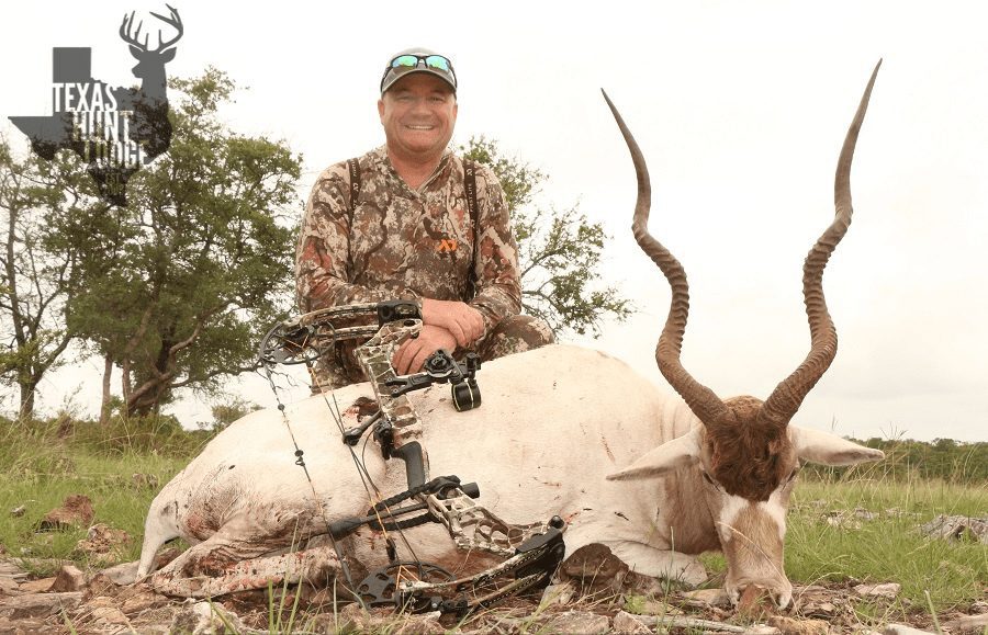 Addax Antelope Hunting in Texas - Texas Hunt Lodge
