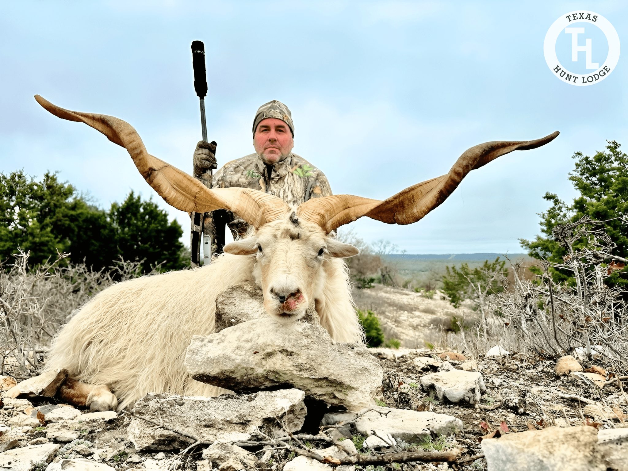 Racka Sheep Hunt - Texas Hunt Lodge