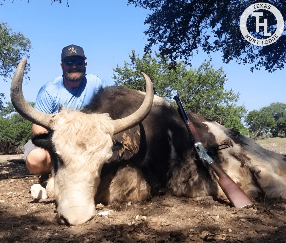 Yak Hunt - Texas Hunt Lodge