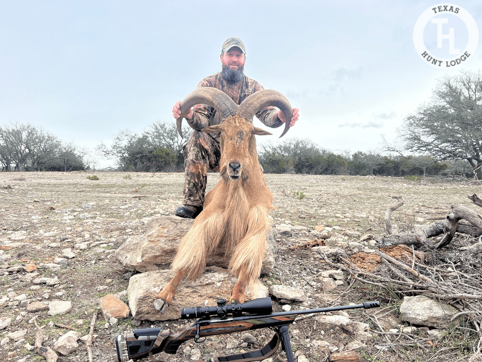 Trophy Aoudad Sheep Hunts in Texas | Texas Hunt Lodge