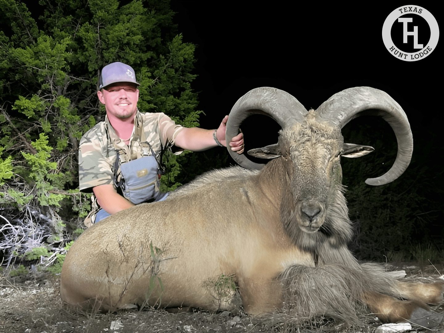 Trophy Aoudad Sheep Hunts in Texas | Texas Hunt Lodge