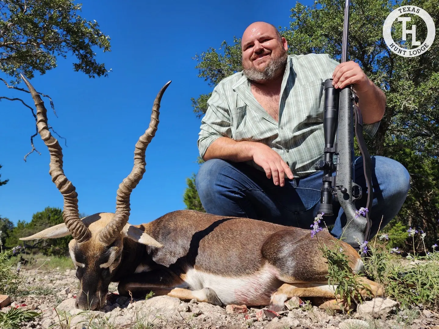 Texas Trophy Blackbuck Antelope Hunts | TX Hunt Lodge