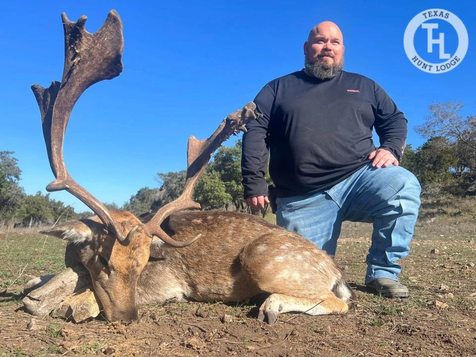 Texas Trophy Fallow Deer Hunts | TX Hunt Lodge