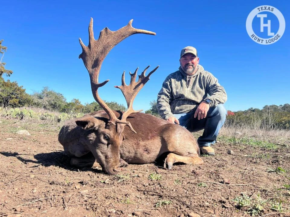 Texas Trophy Fallow Deer Hunts | TX Hunt Lodge