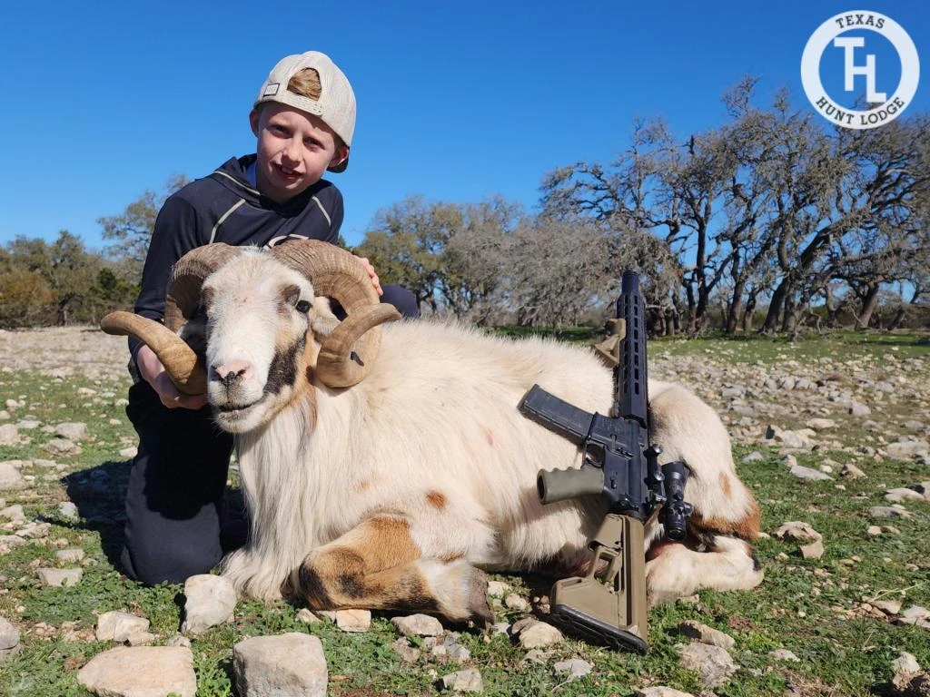 Texas Dall Sheep Hunt - Texas Hunt Lodge
