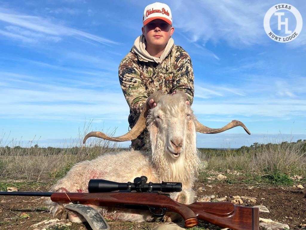 Texas Dall Sheep Hunt - Texas Hunt Lodge