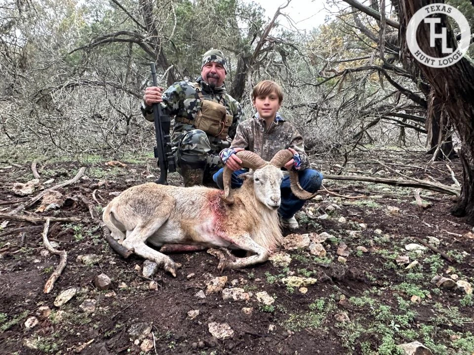 Texas Dall Sheep Hunt - Texas Hunt Lodge