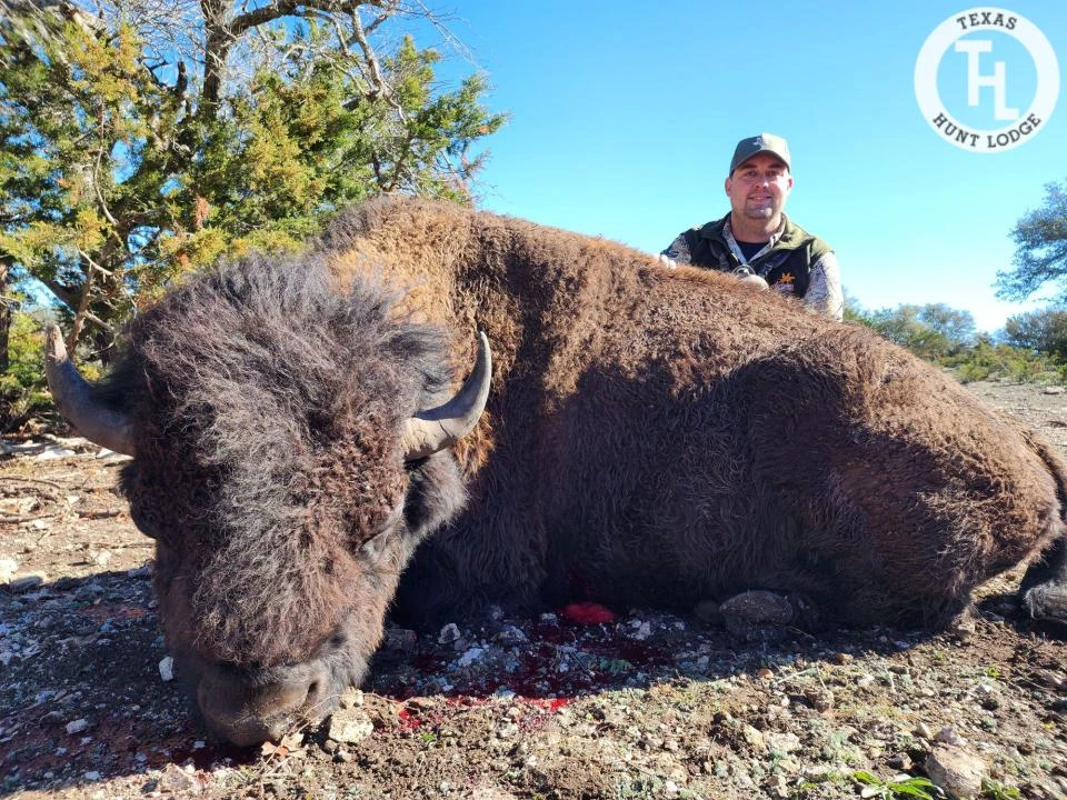 Bison Hunting Texas | Buffalo Hunts | Texas Hunt Lodge