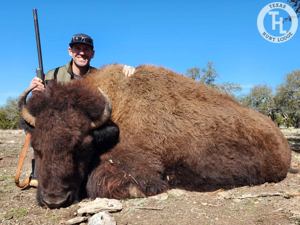 Bison Hunting Texas | Buffalo Hunts | Texas Hunt Lodge