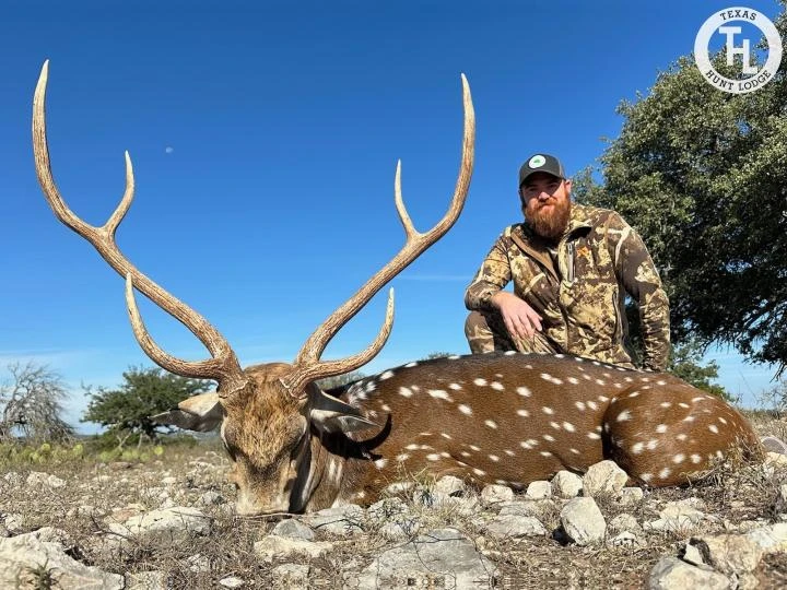 Guided Trophy Axis Deer Hunts in TX | Texas Hunt Lodge