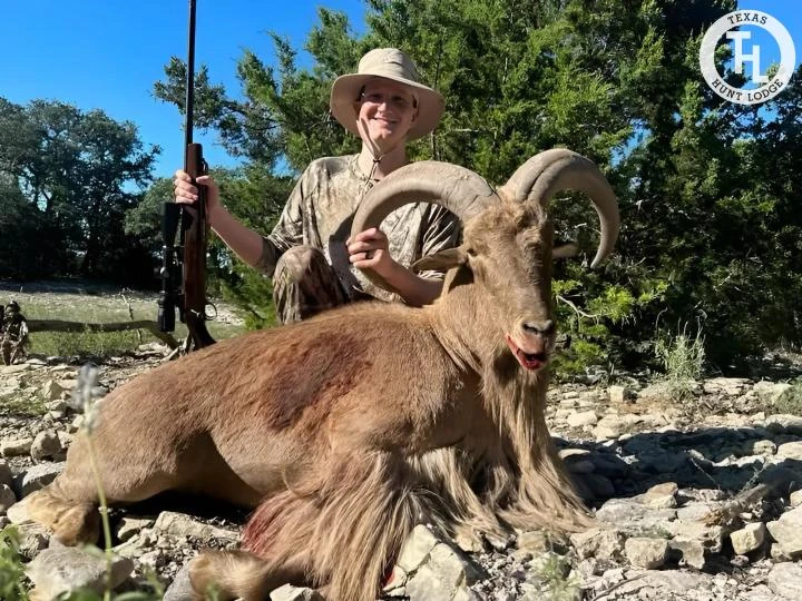 Trophy Aoudad Sheep Hunts in Texas | Texas Hunt Lodge