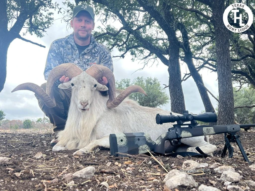 Texas Dall Sheep Hunt - Texas Hunt Lodge