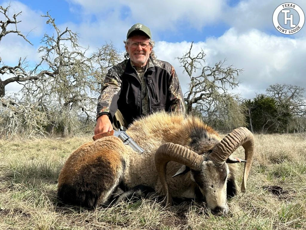 Corsican Ram Hunt - Texas Hunt Lodge