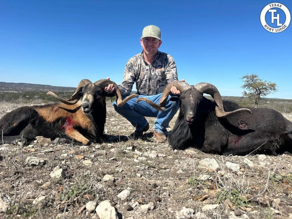 Texas Ram Slam Trophy Hunts | Multi-Ram Guided Hunts